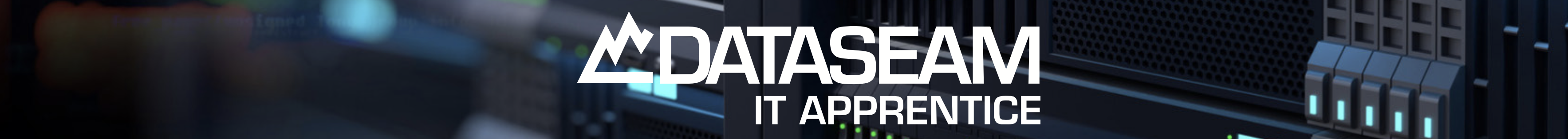 Dataseam Apprentice Application